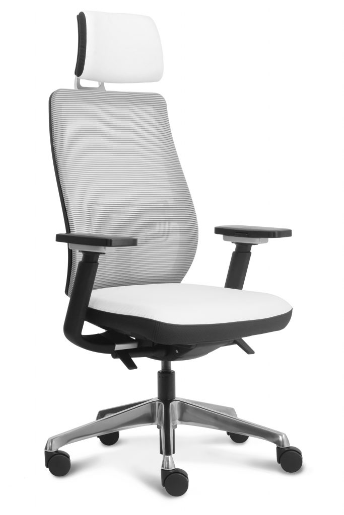 Benithem | Ergonomic Office Chairs | Malaysia | Frontier