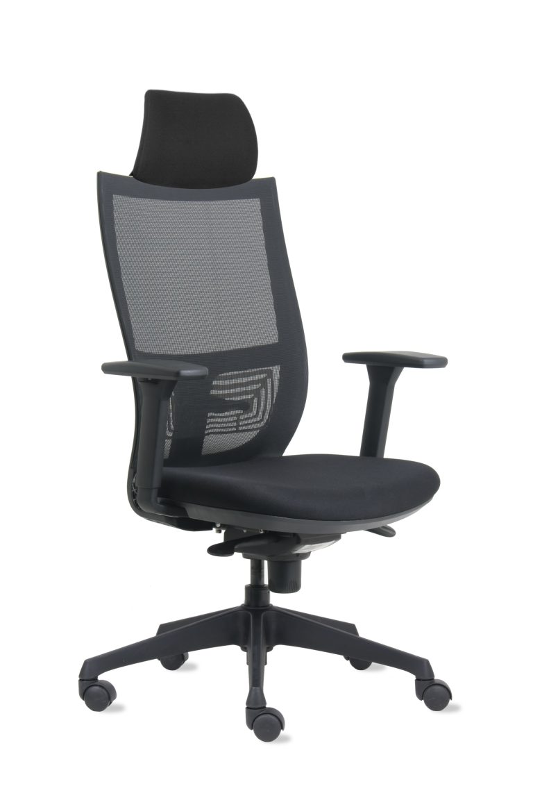 Benithem | Ergonomic Office Chairs | Malaysia | Frontier